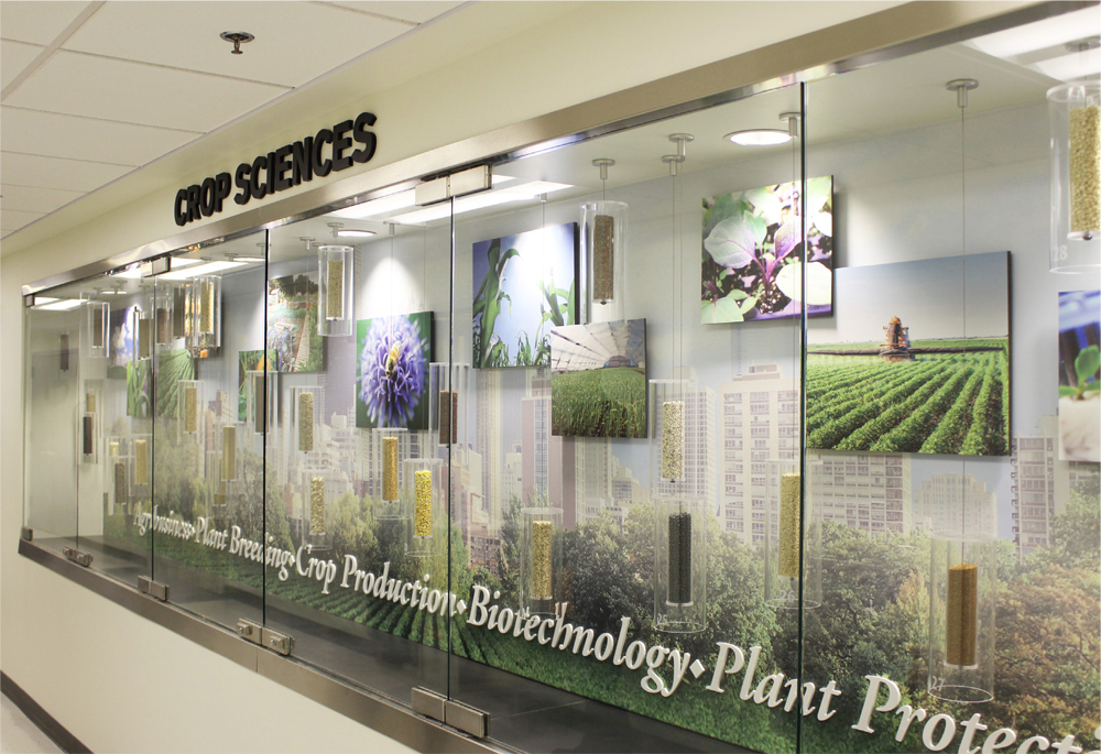 UNIVERSITY OF ILLINOIS - TURNER HALL - Path Construction